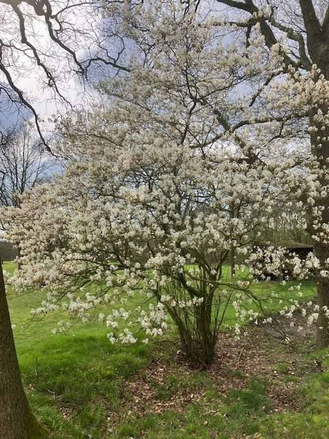 240405 Nieuws Baan - De Oosterhoutse